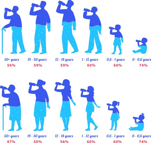 Water in human body different ages people Vector Image