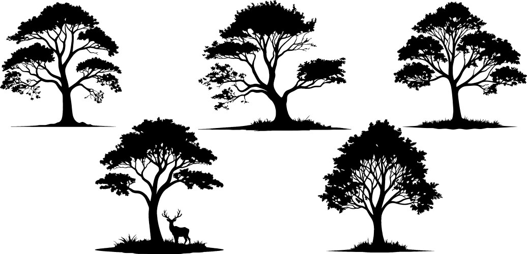 Oak Tree Black And White Clipart