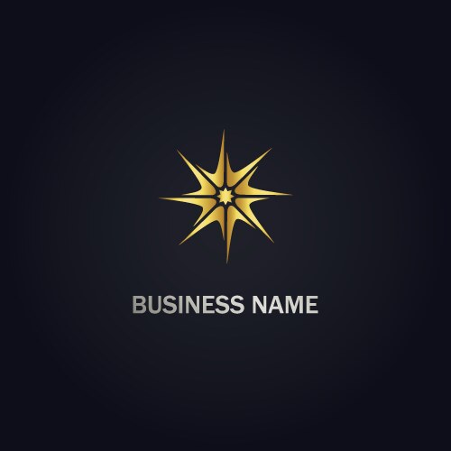 Star round business gold logo Royalty Free Vector Image