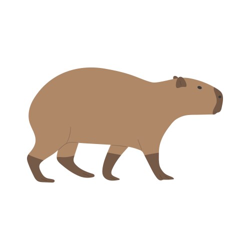 Capybara single 24 Royalty Free Vector Image - VectorStock