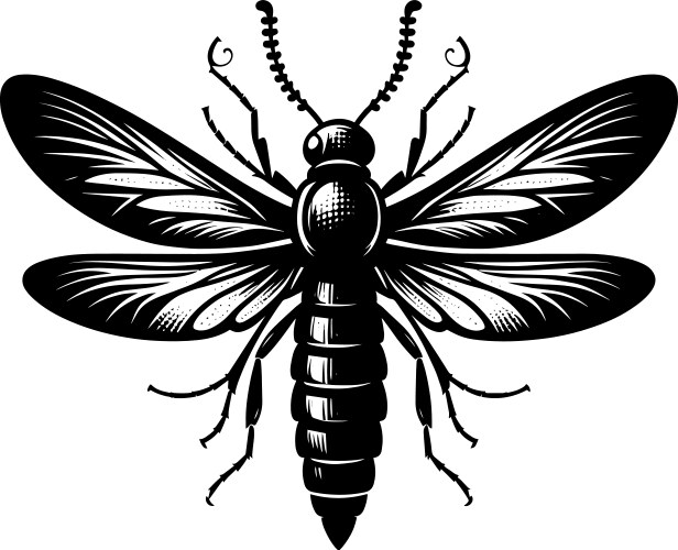 Beautiful firefly insect silhouette isolated Vector Image