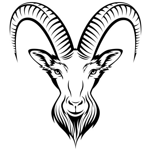 Angry goat Royalty Free Vector Image - VectorStock