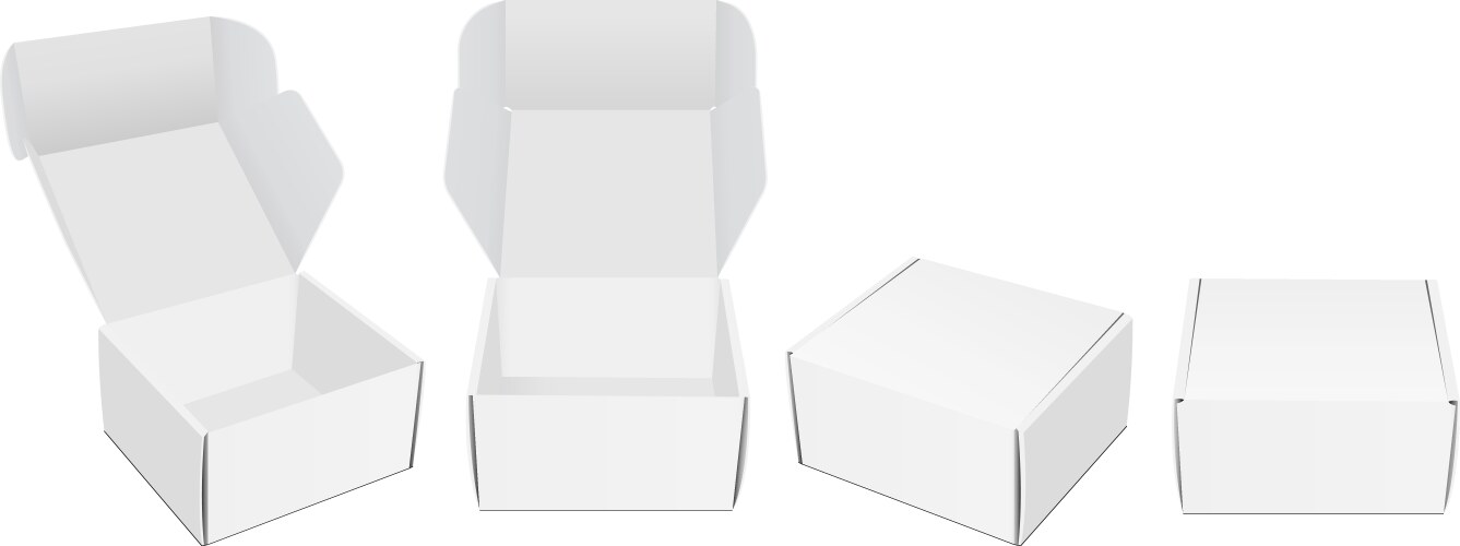 Packaging rectangle box die cut template design Vector Image