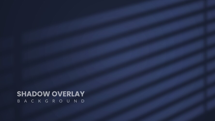 Realistic shadow overlay background aesthetic Vector Image