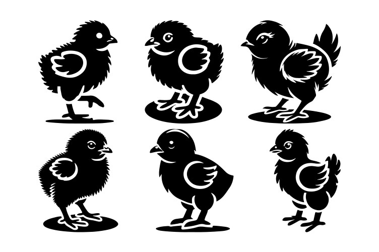Farm-inspired baby chicks silhouette pack Vector Image