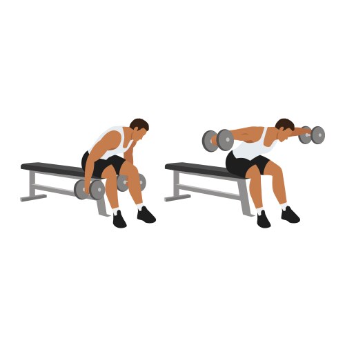 Dumbbell Reverse Fly Vector Images (12)