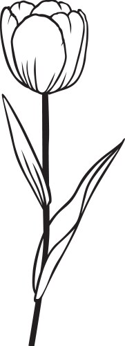 Tulip Vector Images (over 65,000)