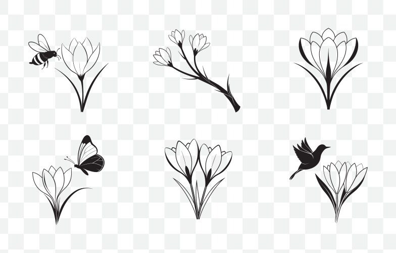 Print veronica flower line art set Royalty Free Vector Image