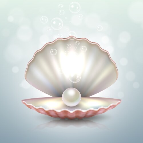 Realistic beautiful natural open sea pearl shell Vector Image