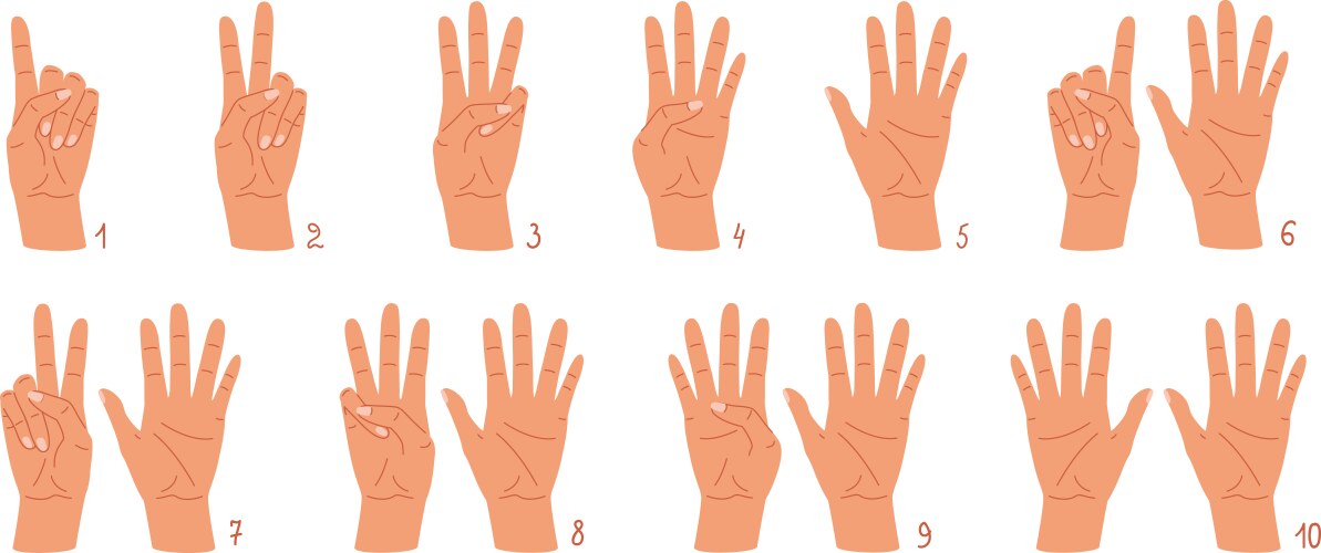 Counting hands show figures count one two three Vector Image