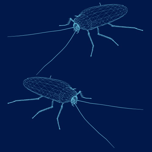 Cockroach Vector Images (over 9,800)