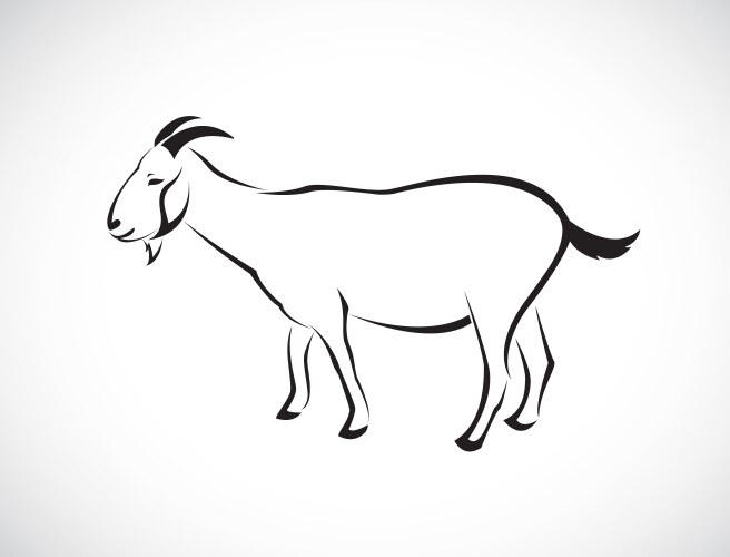 Goat Royalty Free Vector Image - VectorStock