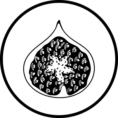 Fig outline icon tropical fruit sign Royalty Free Vector