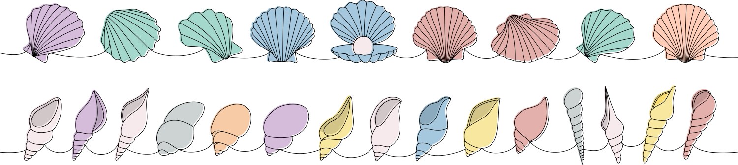 Sea shells set mollusks scallop Royalty Free Vector Image