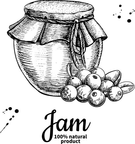Fruit jam glass jar drawing jelly Royalty Free Vector Image