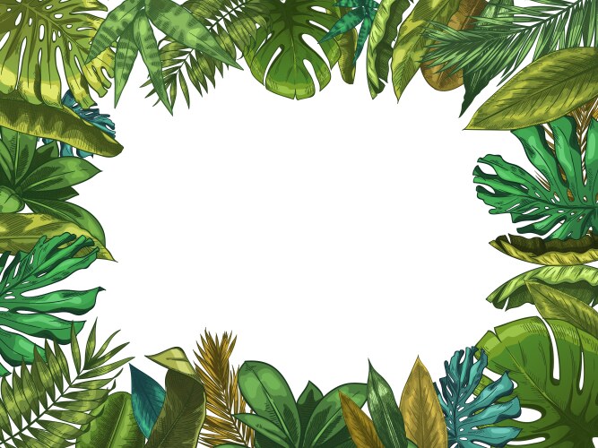 Nature Border Vector Images (over 200,000)