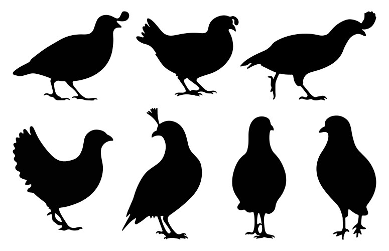 Quail Clipart Black And White Quail Clipart Photos, Images & Pictures