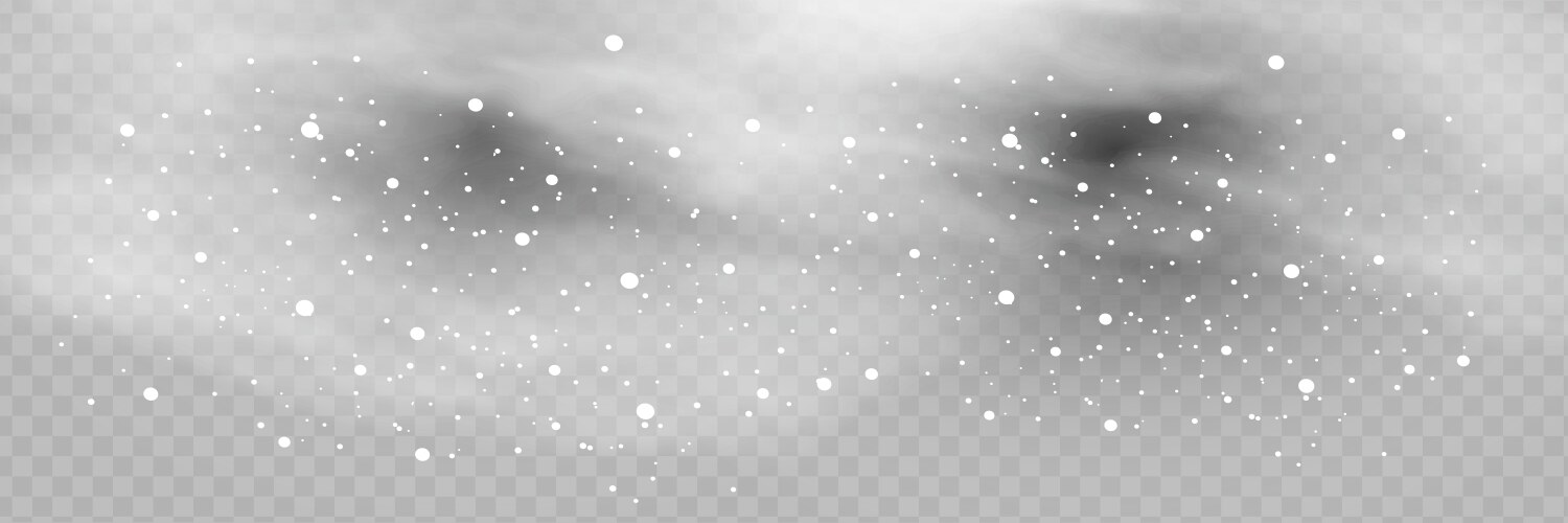 Snow and wind on a transparent background white Vector Image