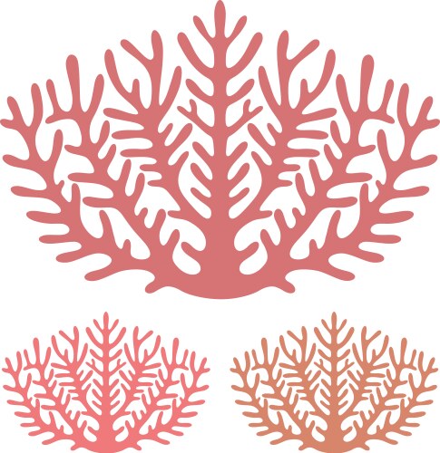 Seaweeds sea underwater plants ocean coral reef Vector Image