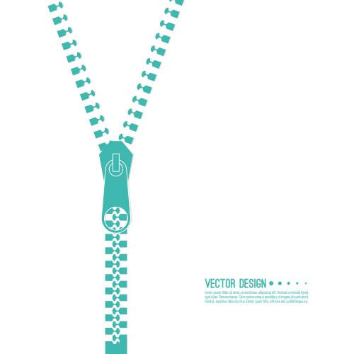 Set of different zippers Royalty Free Vector Image