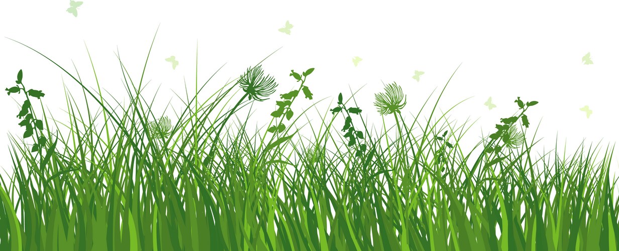 Green grass banner with weed plant watercolor Vector Image