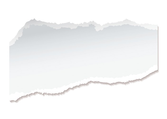 Rectangular torn paper ideal for presentation Vector Image