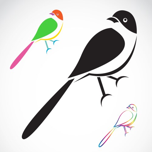 Bird Vector Images (over 540,000)