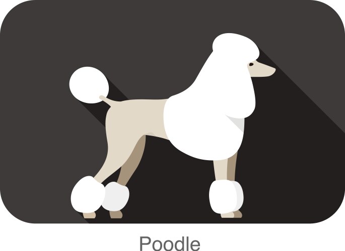 Poodle standing and watching side view cartoon Vector Image