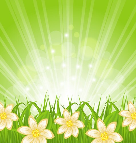Free Spring Vector Images (over 44,000)
