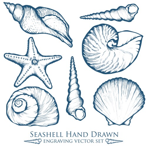 Seashell seamless pattern hand drawn sketch Vector Image