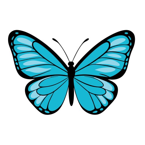Vibrant blue butterfly wing design – Royalty-Free Vector | VectorStock