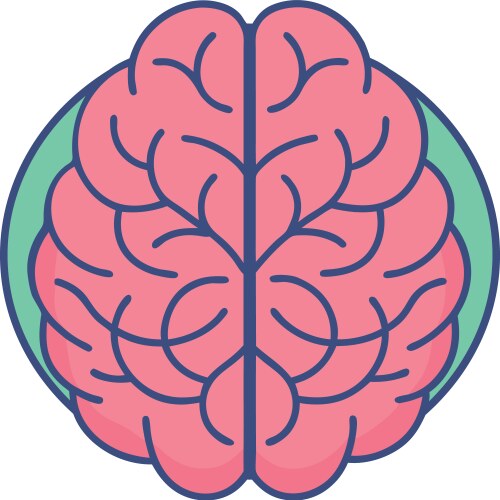 Brain Drawing Front View Brain Front View Vector Images (over 360)