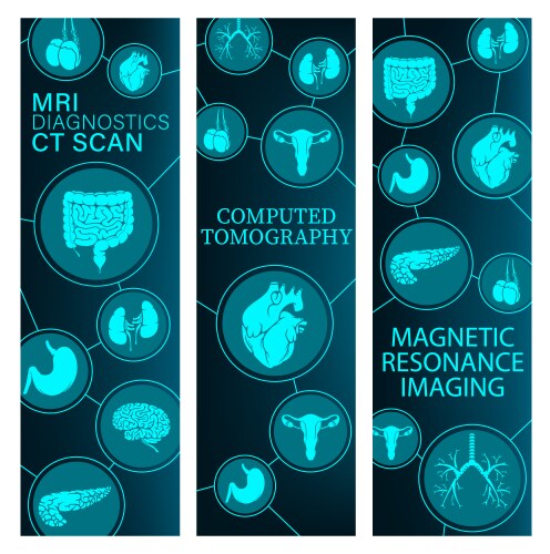 Ct Scan Vector Images (over 2,400)