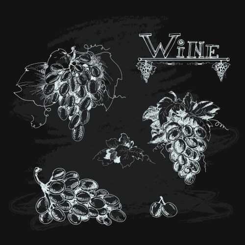 Set gold skeleton leaves on black background Vector Image