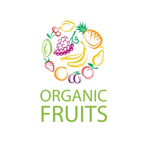 Fruits Royalty Free Vector Image - VectorStock