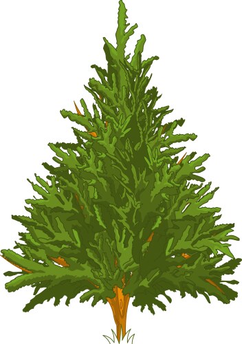 A tall ashoka tree Royalty Free Vector Image - VectorStock