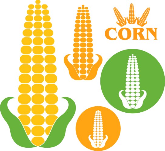 Corn Vector Images (over 110,000)