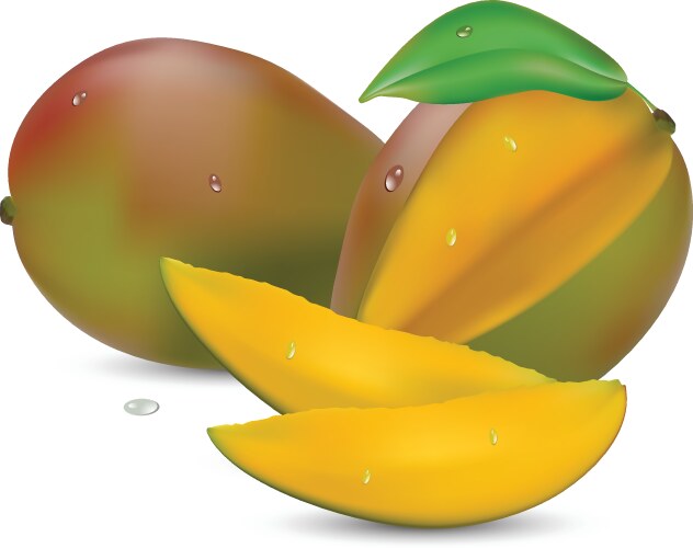 Mango Royalty Free Vector Image - VectorStock