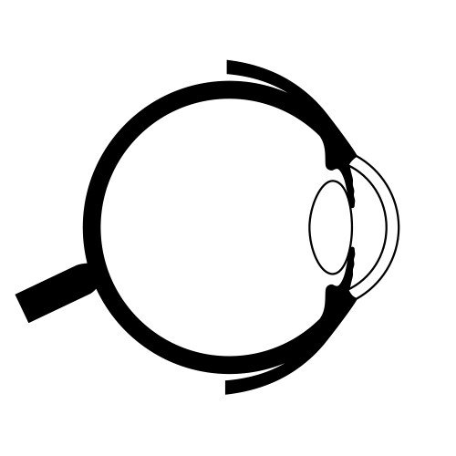 Cartoon image of eye Royalty Free Vector Image