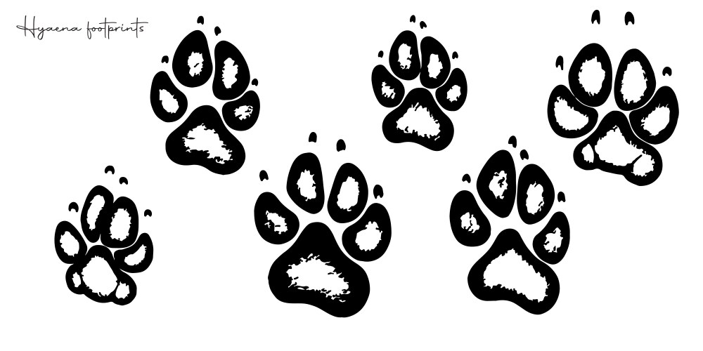 Monkey Footprint Vector Images (over 290)