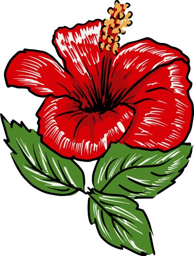 Hibiscus Cartoon Vector Images (over 2,700)