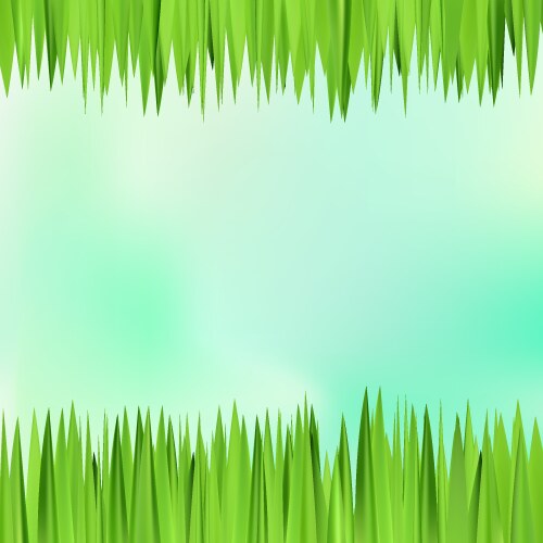 Realistic rectangular pine tree frame Royalty Free Vector