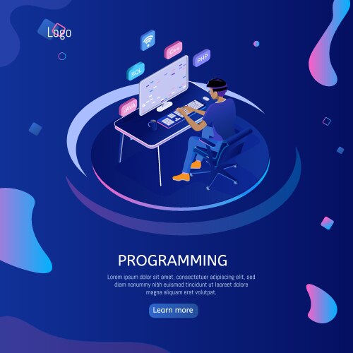 Programmer isometric character programming Vector Image