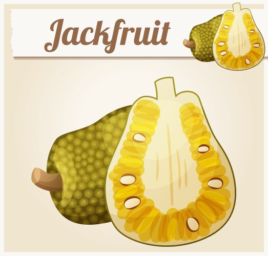 Jackfruit Vector Images (over 1,600)