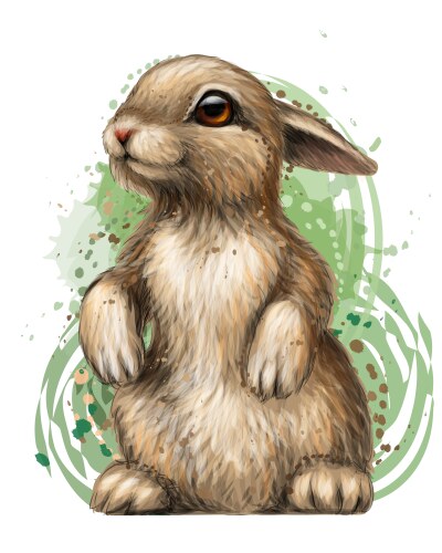 Rabbit color artistic graphic image a Royalty Free Vector