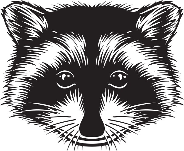 Raccoon Vector Images (over 18,000)
