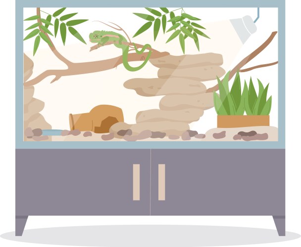 Terrarium Vector Images (over 2,500)