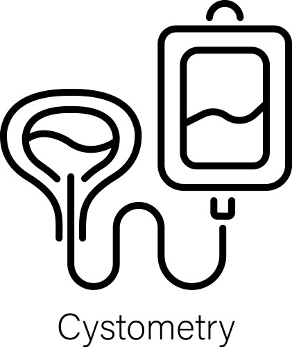 Urine system Royalty Free Vector Image - VectorStock