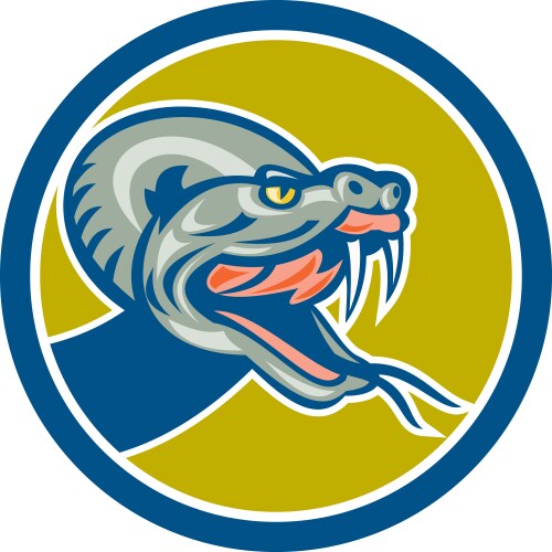 Rattle Snake Vector Images (over 400)