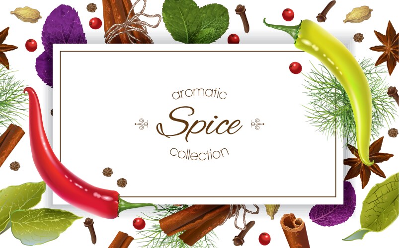 Kitchen herbs and spices banner Royalty Free Vector Image